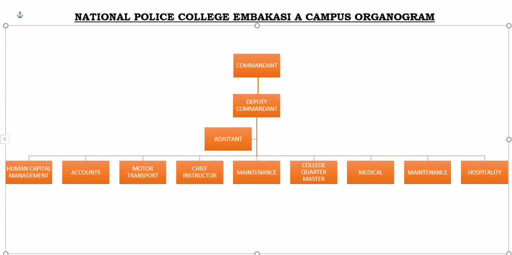Organogram - Administration Police Service